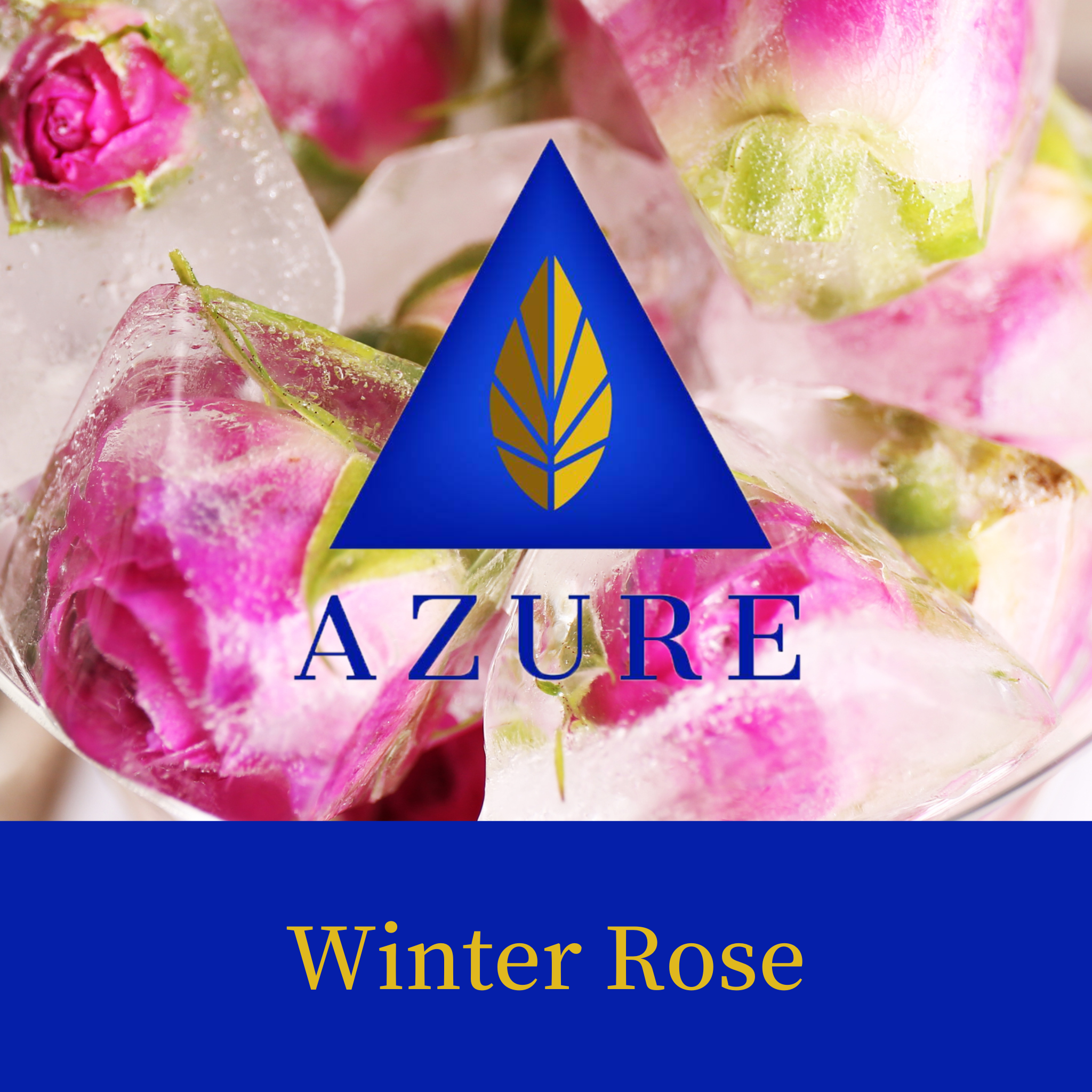 シーシャフレーバー｜【Gold Line】Winter Rose 100g – AZURE – NEWEMO SHISHA